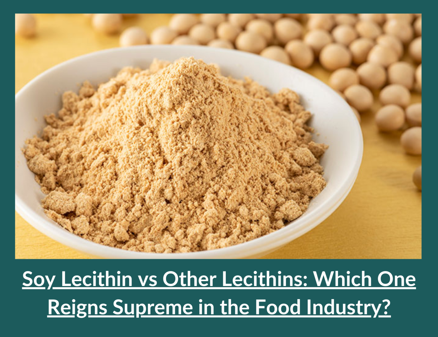 Soy Lecithin vs Other Lecithins: Which One Reigns Supreme in the Food ...